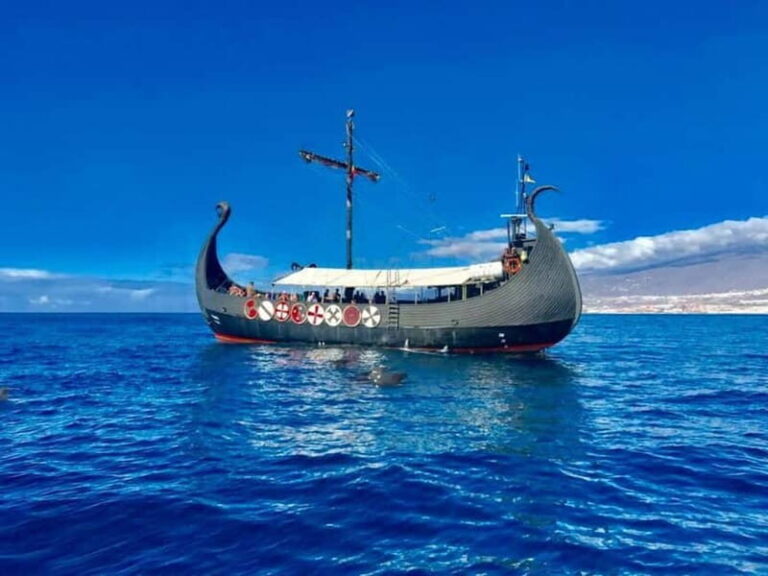 Los Cristianos: Whale Watching Cruise w/Swim Stop & Drinks - Diving Deeper into the Experience