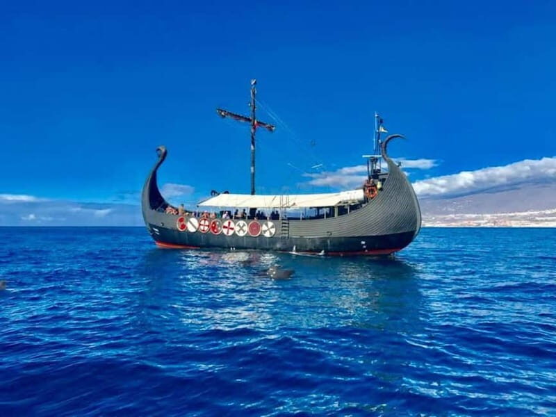 Los Cristianos: Whale Watching Cruise w/Swim Stop & Drinks - Diving Deeper into the Experience