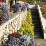 Lourdes: Express Walk with a Local in 60 minutes - What to Expect on the Tour