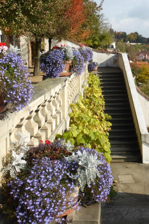 Lourdes: Express Walk with a Local in 60 minutes - What to Expect on the Tour