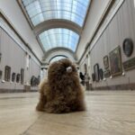 Louvre Museum Entry Ticket and Private Guided Tour - What to Keep in Mind Before Booking