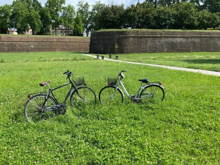 Lucca: City Bike One-Day Rental - Practical Considerations and Tips for Travelers