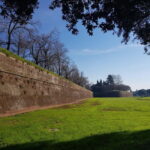 Lucca classica: visita guidata in ITALIANO - Value for Money and Practical Considerations