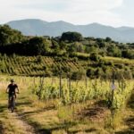 LUCCA: EBIKE TOUR WITH LUNCH AND WINE TASTING - What the Itinerary Looks Like