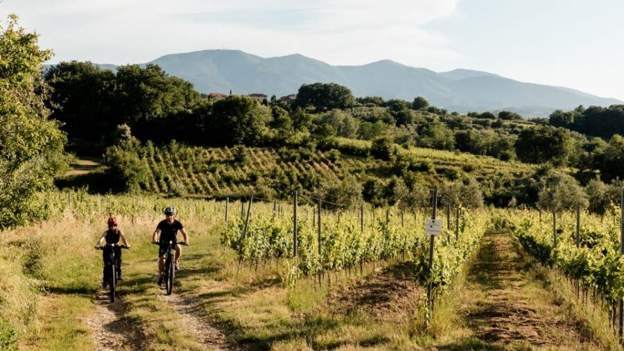 LUCCA: EBIKE TOUR WITH LUNCH AND WINE TASTING - What the Itinerary Looks Like