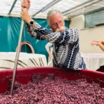 Lucca - Natural wine tasting at Tenuta Mareli - Key Points