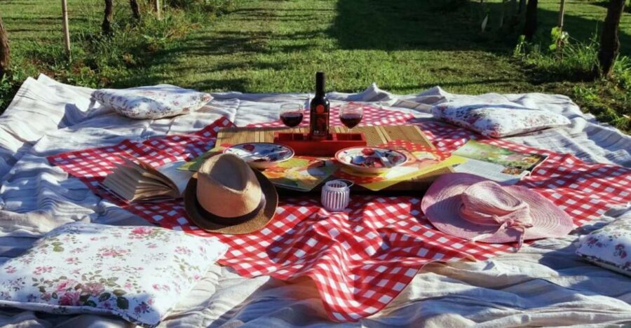 Lucca: Picnic Lunch at a Vineyard by Bike - What Makes This Tour Stand Out?