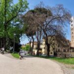 Lucca: private tour of center, San Martino and San Frediano - The Experience: What You Get & What You Might Miss
