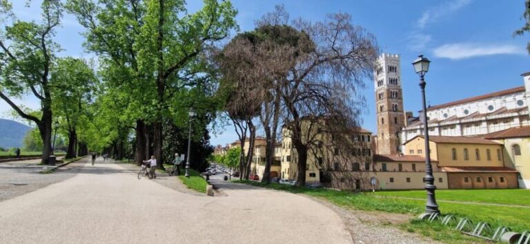 Lucca: private tour of center, San Martino and San Frediano - The Experience: What You Get & What You Might Miss