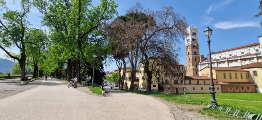 Lucca: private tour of center, San Martino and San Frediano - The Experience: What You Get & What You Might Miss
