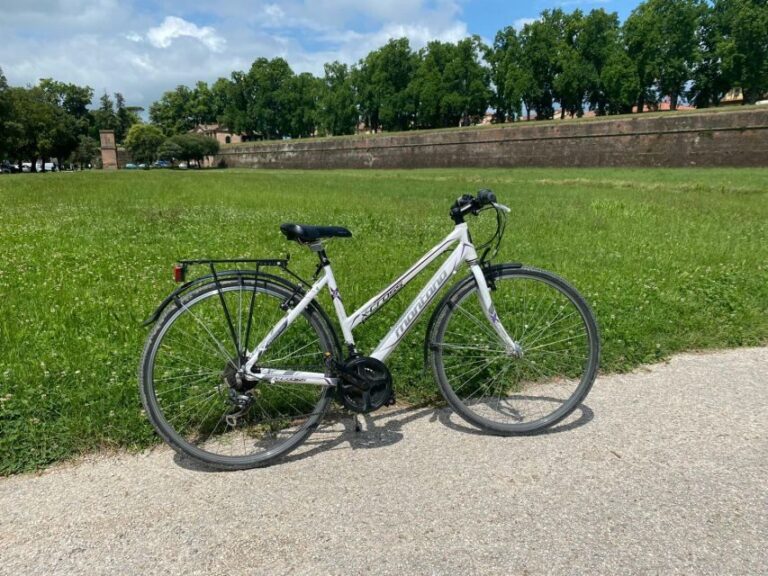 Lucca: Trekking Bike Rental - A Complete Look at the Lucca Trekking Bike Rental Experience