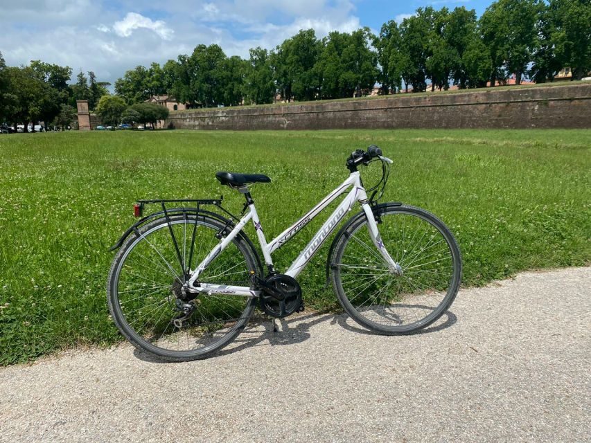 Lucca: Trekking Bike Rental - A Complete Look at the Lucca Trekking Bike Rental Experience