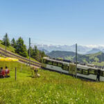 Lucerne: Boat Trip, Mount Rigi Train, & Mineral Baths Ticket - The Experience in Detail