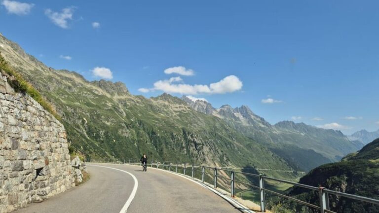 Lucerne: Downhill Cycling Adventure with Lake Swim - Whats Included and Whats Not