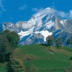 Lucerne: Interlaken and Grindelwald Swiss Alps Day Trip - What Makes This Tour Stand Out