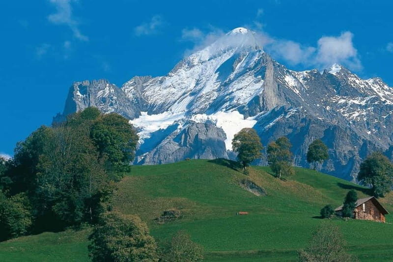Lucerne: Interlaken and Grindelwald Swiss Alps Day Trip - What Makes This Tour Stand Out