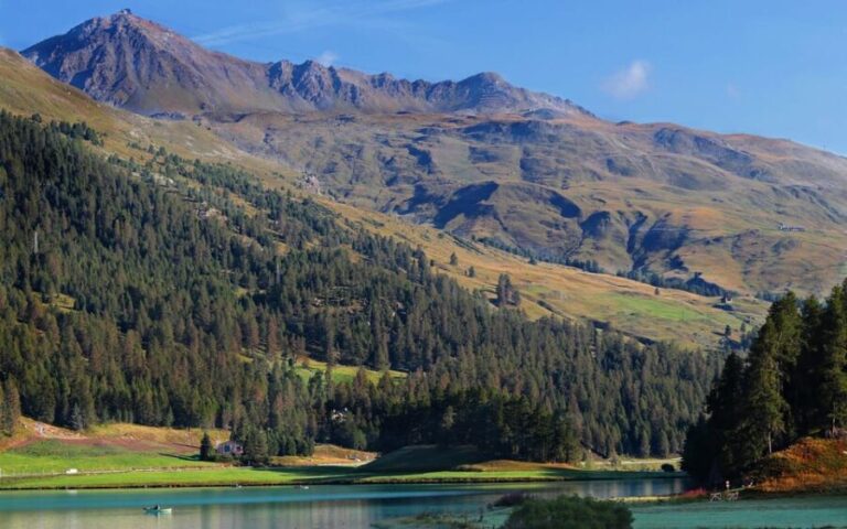 Lucerne: Private day Trip to St. Moritz - What Makes This Tour Stand Out?