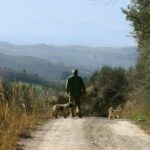 Luck and Patience: truffle hunting in Tuscany - Authenticity and Unique Appeal