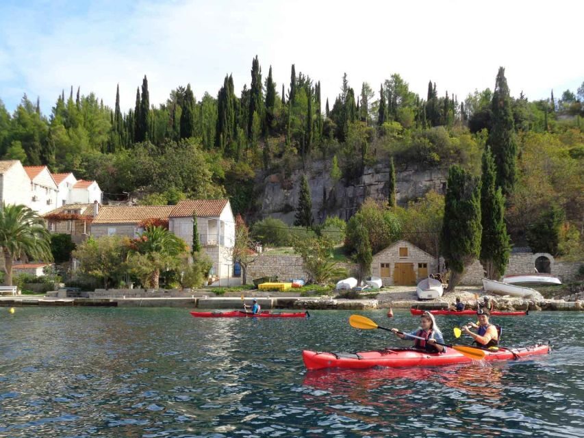 Lumbarda: Half-Day Kayaking and History with Wine delight - Why This Tour Offers Good Value