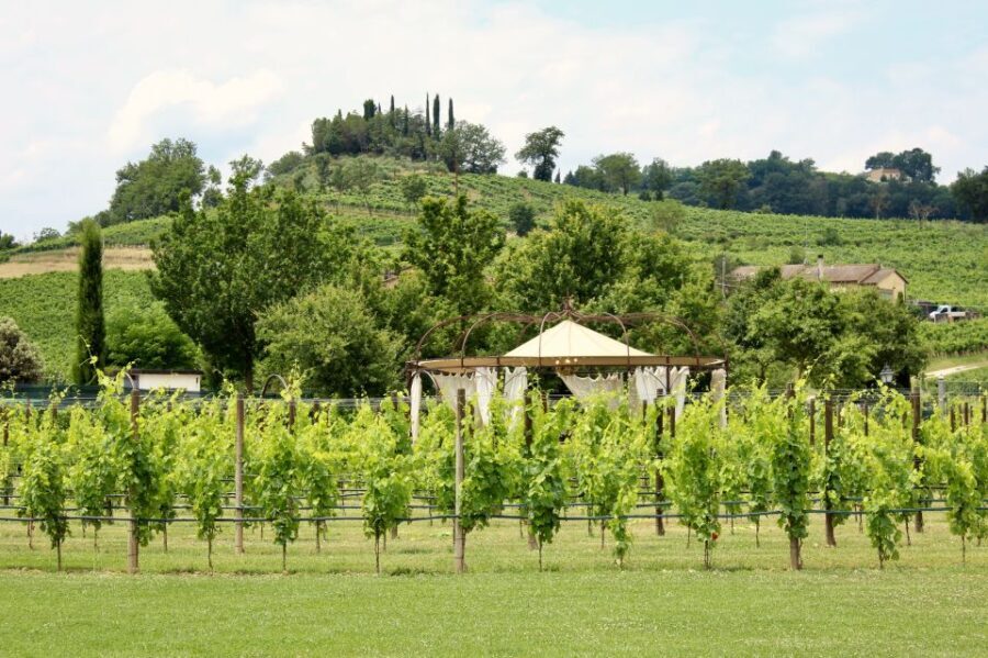 Lunch in the garden and Wine Tasting - Who Should Consider This Tour?