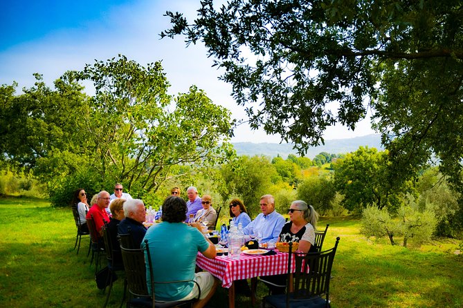 Lunch in the Olive Grove - What to Expect: A Genuine Tuscan Lunch Among Olive Trees