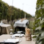 Lunch in the Vineyard in Alba - A Personal Touch at the Winery Tour
