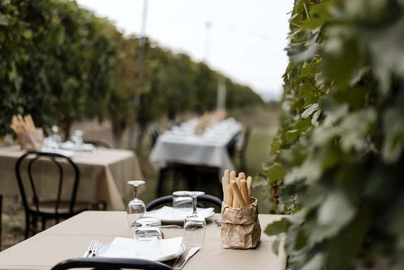 Lunch in the Vineyard in Alba - A Personal Touch at the Winery Tour