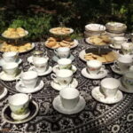 Lunch & Nature experience at Cumberland Bird of Prey Centre - The Sum Up