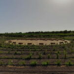 Lunch or dinner, wine tasting in the countryside of Noto - The Authenticity and Personal Touch