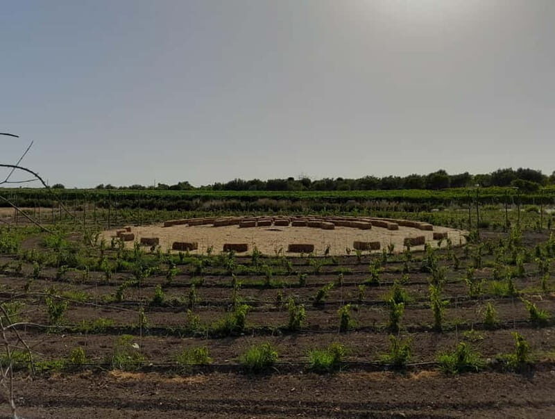 Lunch or dinner, wine tasting in the countryside of Noto - The Authenticity and Personal Touch