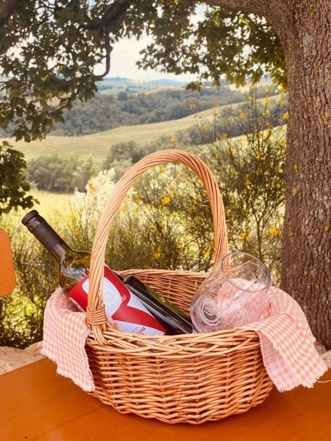 Lunch Picnic in the scenic hills of Maremma Tuscany - An In-Depth Look at the Experience