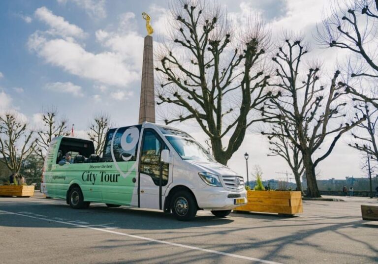 Luxembourg: City Bus Tour with Audio Guide and Headphones - What Makes This Tour Stand Out