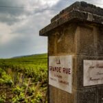 Luxury Burgundy Private Wine Tour - Key Points