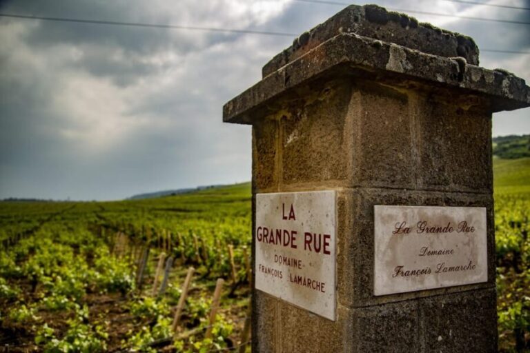 Luxury Burgundy Private Wine Tour - Key Points