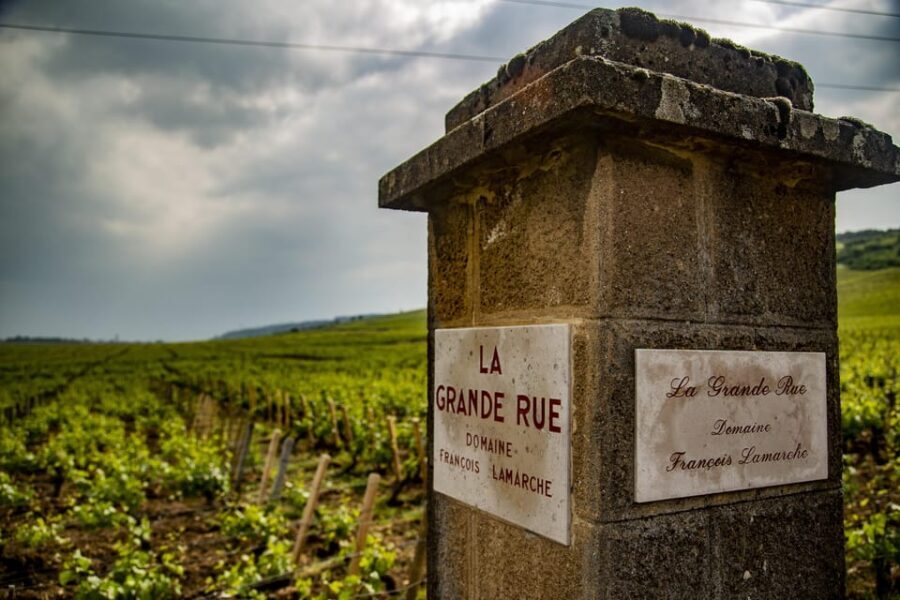 Luxury Burgundy Private Wine Tour - Key Points