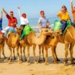 Luxury Private Tangier Tour from Estepona all inclusive - Considering the Cost and Value