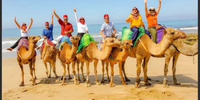 Luxury Private Tangier Tour from Estepona all inclusive - Considering the Cost and Value