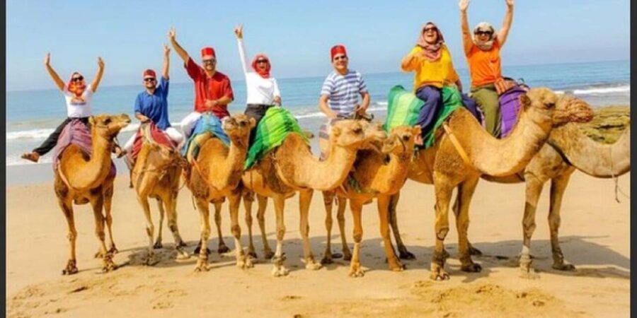 Luxury Private Tangier Tour from Estepona all inclusive - Considering the Cost and Value