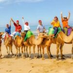 Luxury Private Tangier Tour from Malaga all inclusive - The Itinerary: Breaking Down the Experience