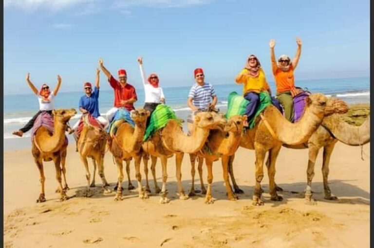Luxury Private Tangier Tour from Malaga all inclusive - The Itinerary: Breaking Down the Experience