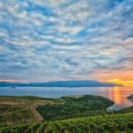Luxury Private Transfer Dubrovnik - Split with lunch in Ston - Pricing and Value
