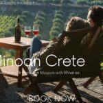 Luxury Tour from Elounda: Knossos Palace & Museum with Wineries - Why This Tour Is Worth Considering