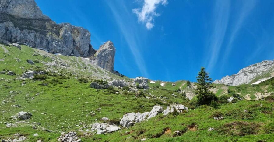 Luzern: Guided Hidden Mount Pilatus Hike - An In-Depth Look at the Guided Hidden Mount Pilatus Hike