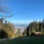 Luzern: Hike Pilatus with an Integral Coach with pickup - Who Should Consider This Experience?
