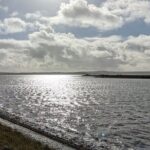 Lymington Wildlife Discovery Walk - Why This Tour Offers Good Value