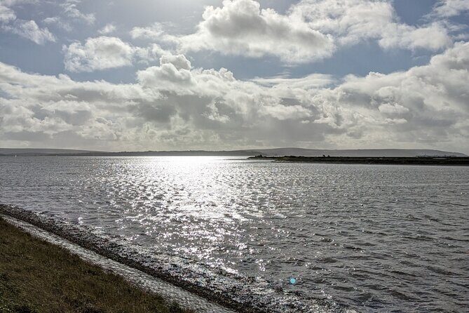 Lymington Wildlife Discovery Walk - Why This Tour Offers Good Value
