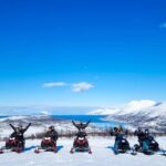 Lyngen Alps Guided Snowmobile Tour From Tromso - What Makes This Tour Stand Out?