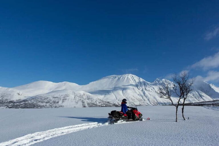 Lyngen Alps: Snowmobile Safari in the Arctic Wilderness - Detailed Itinerary and Experience Breakdown