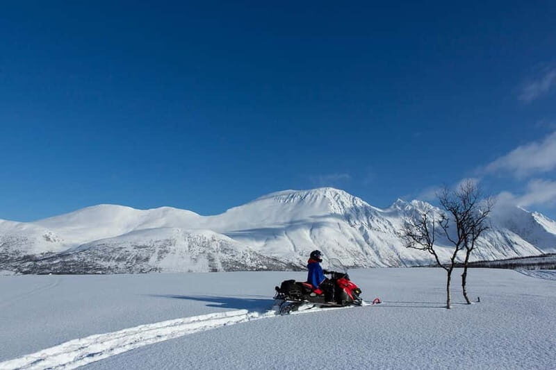 Lyngen Alps: Snowmobile Safari in the Arctic Wilderness - Detailed Itinerary and Experience Breakdown