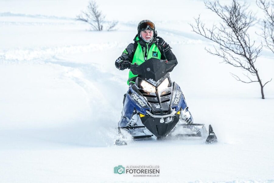 Lyngen: Snowmobile Safari with Lunch in seaside Restaurant - Who Will Love This Experience?